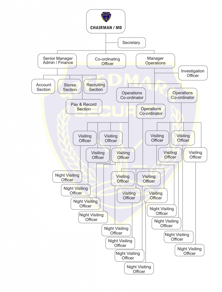 COMPANY STRUCTURE – Speedmark Securty Services (Pvt)Ltd